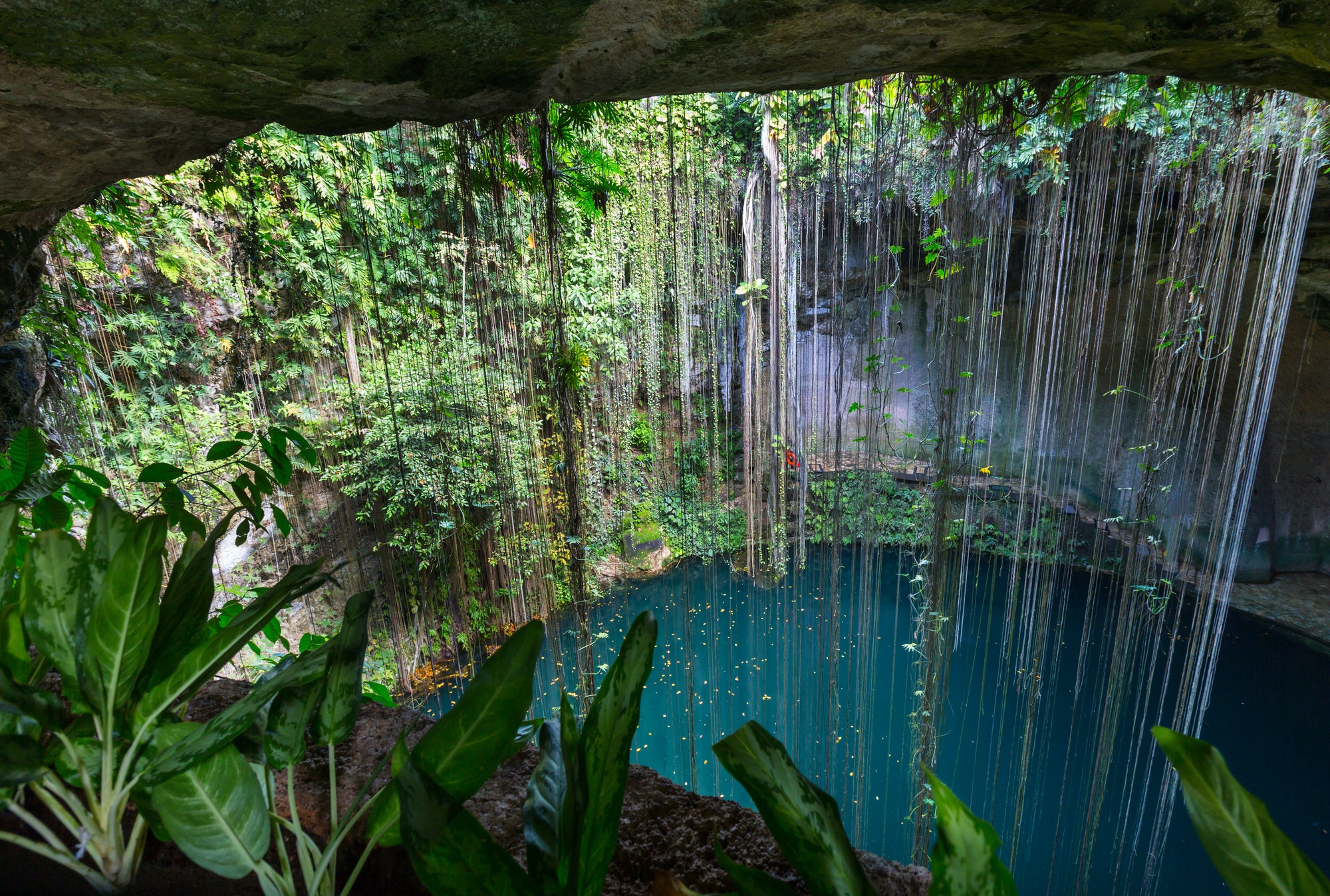 Cenotes: Hidden Jewels In Cancun And Riviera Maya! | ATELIER De Hoteles ...