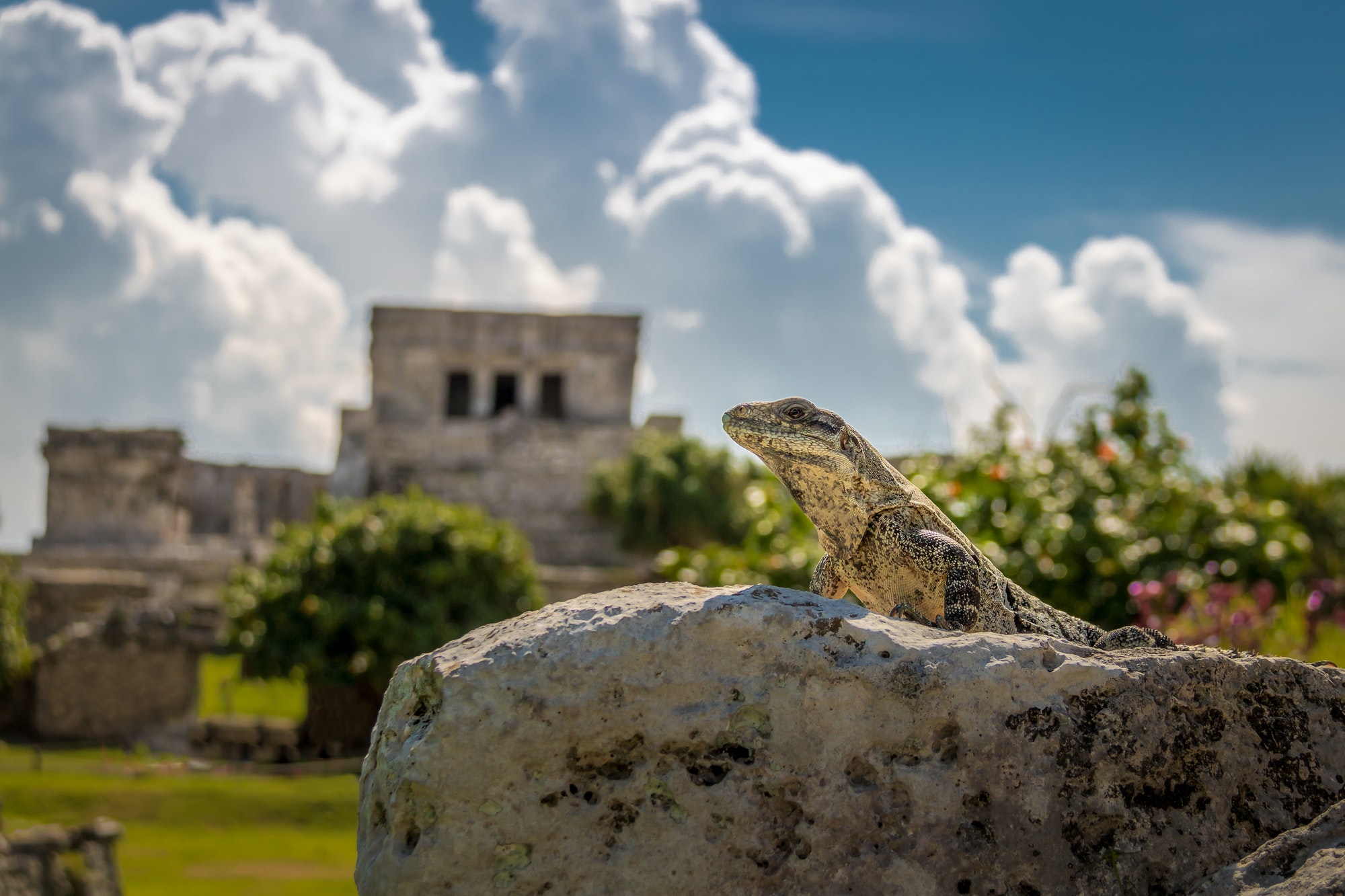 Celebrate Spring Equinox In Mexico | ATELIER De Hoteles Blog